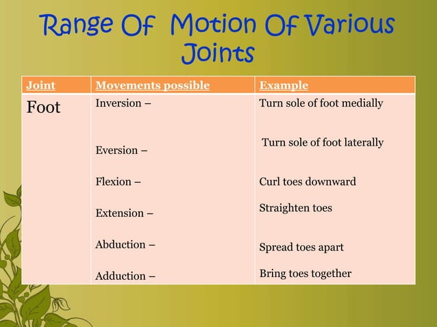 Exercise & range of motion exercise | PPTX