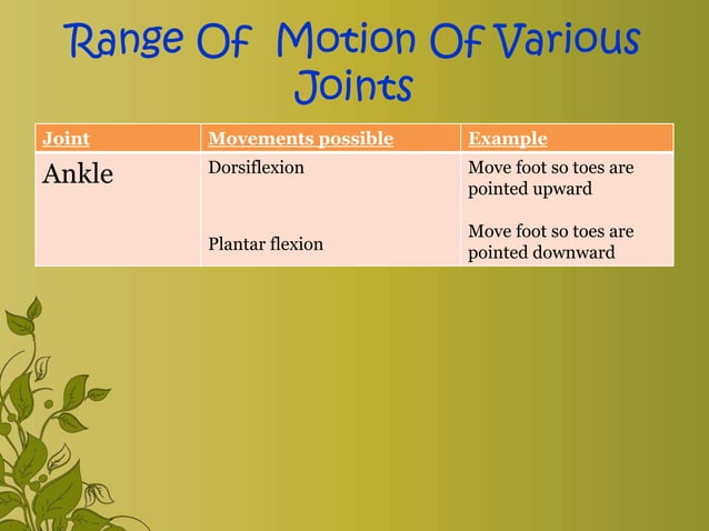 Exercise & range of motion exercise | PPT