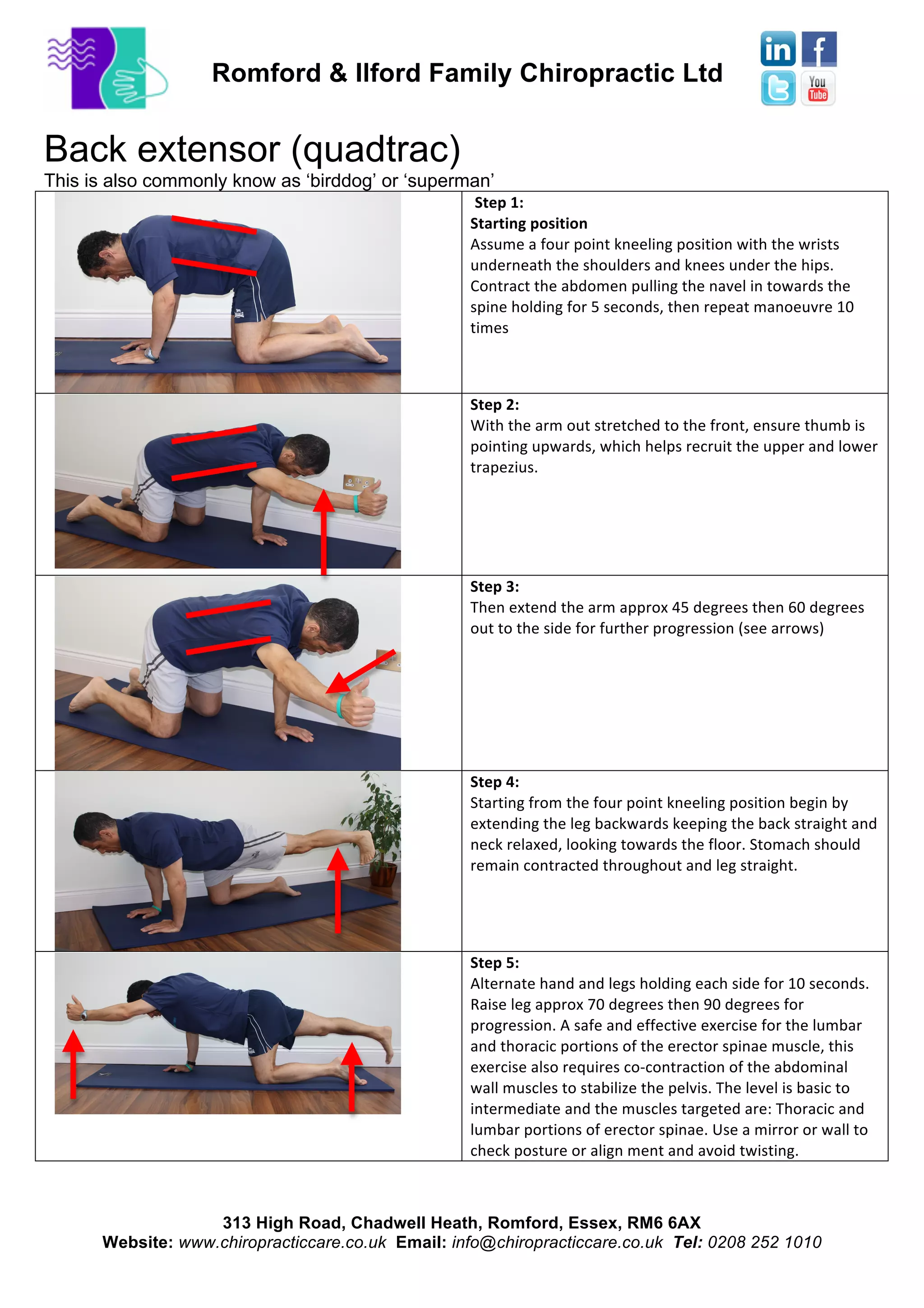 Exercises – core stability quadrac birddog superman back extensor | PDF ...