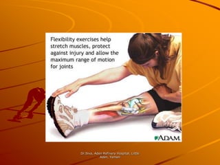 Exercises And Health | PPTX