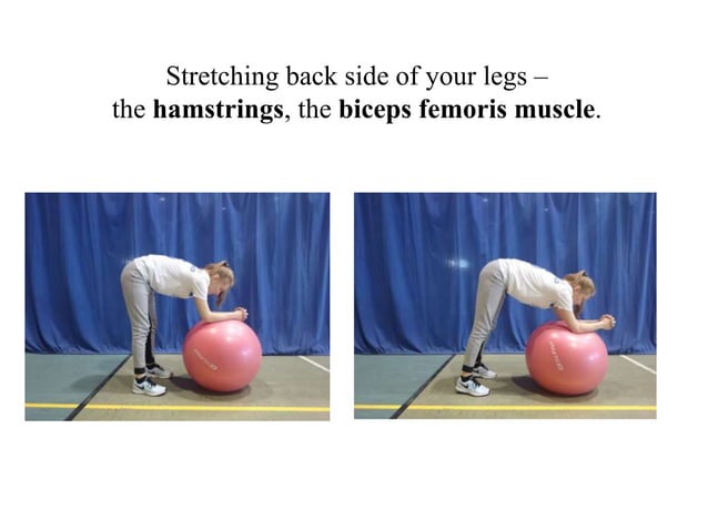 Exercises for spine - Guide 1 - Stretching and mobilization | PPT