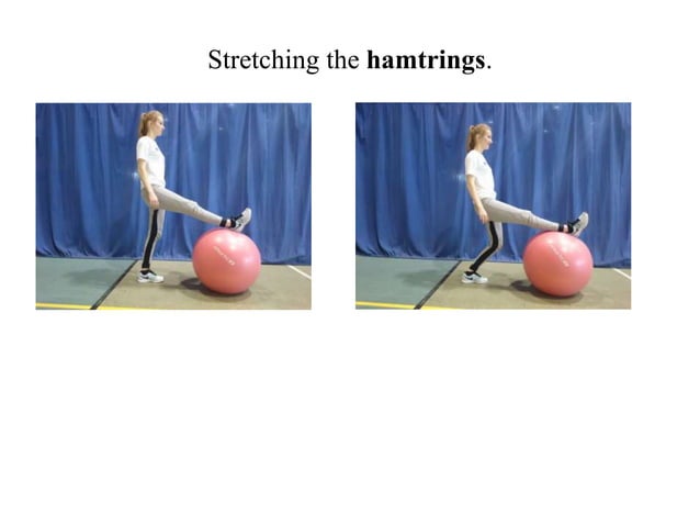 Exercises for spine - Guide 1 - Stretching and mobilization | PPT