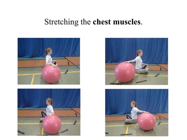 Exercises for spine - Guide 1 - Stretching and mobilization | PPT