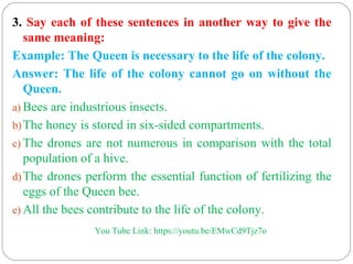 Exercises in Reading Comprehension by E L Tibbitts| (Bees ) | PPT