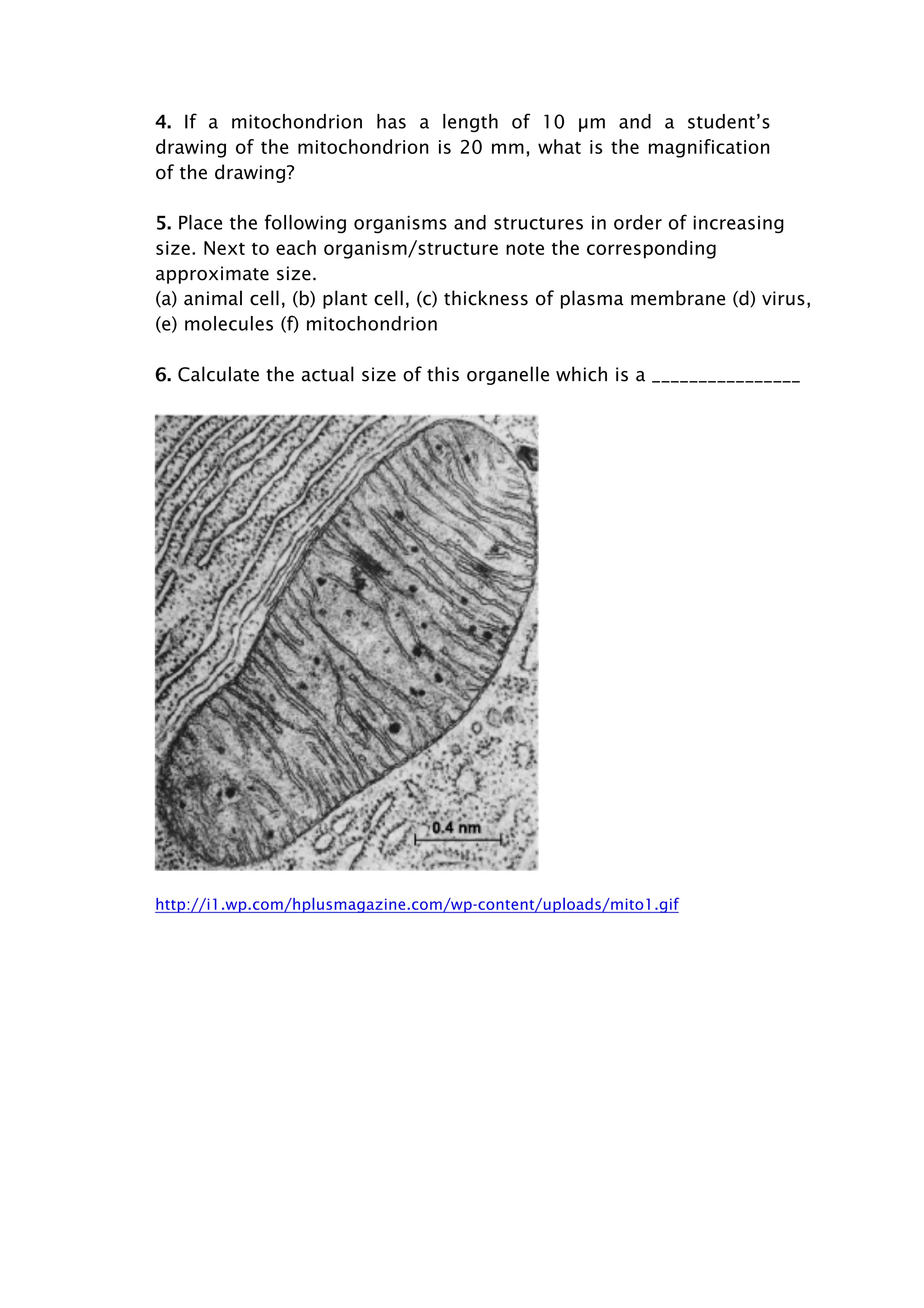 Exercises on microscope magnifications and conversions | PDF