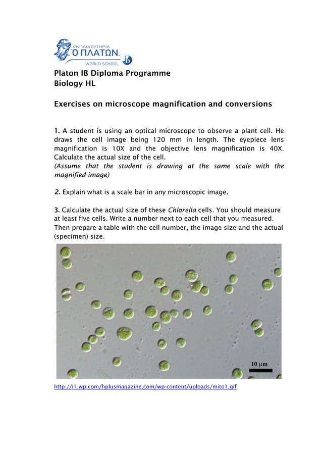 Exercises on microscope magnifications and conversions | PDF ...
