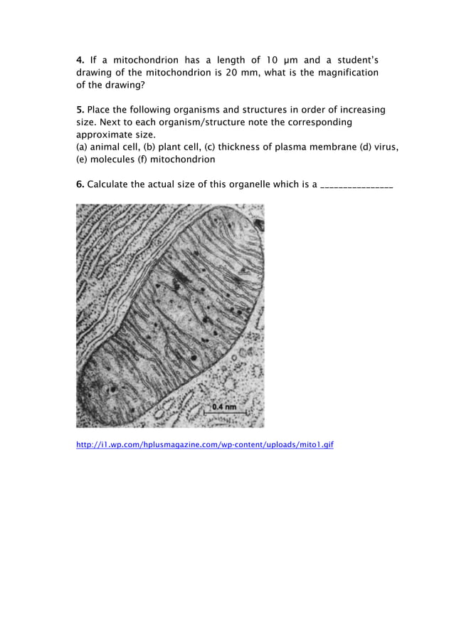 Exercises on microscope magnifications and conversions | PDF ...