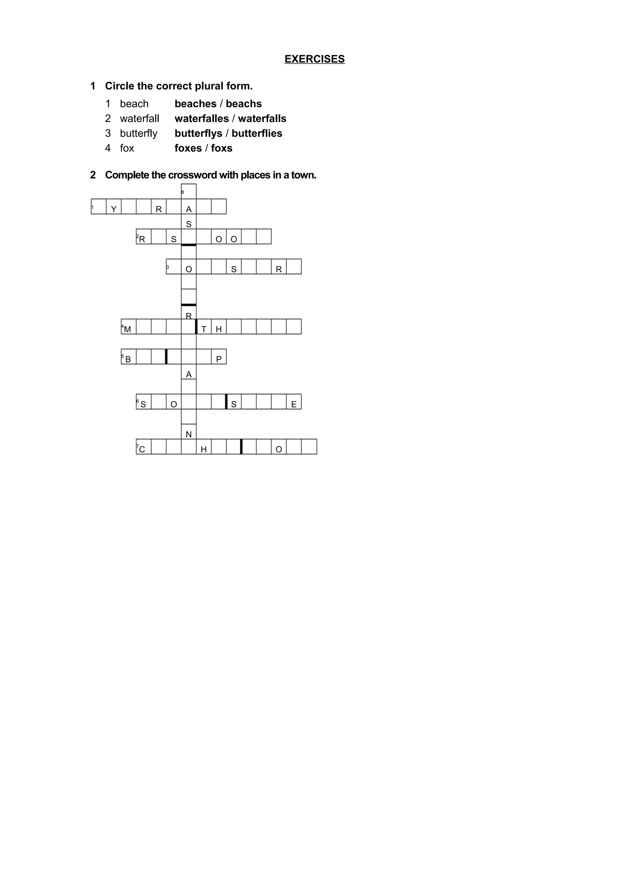 Exercises there is are plural | DOC