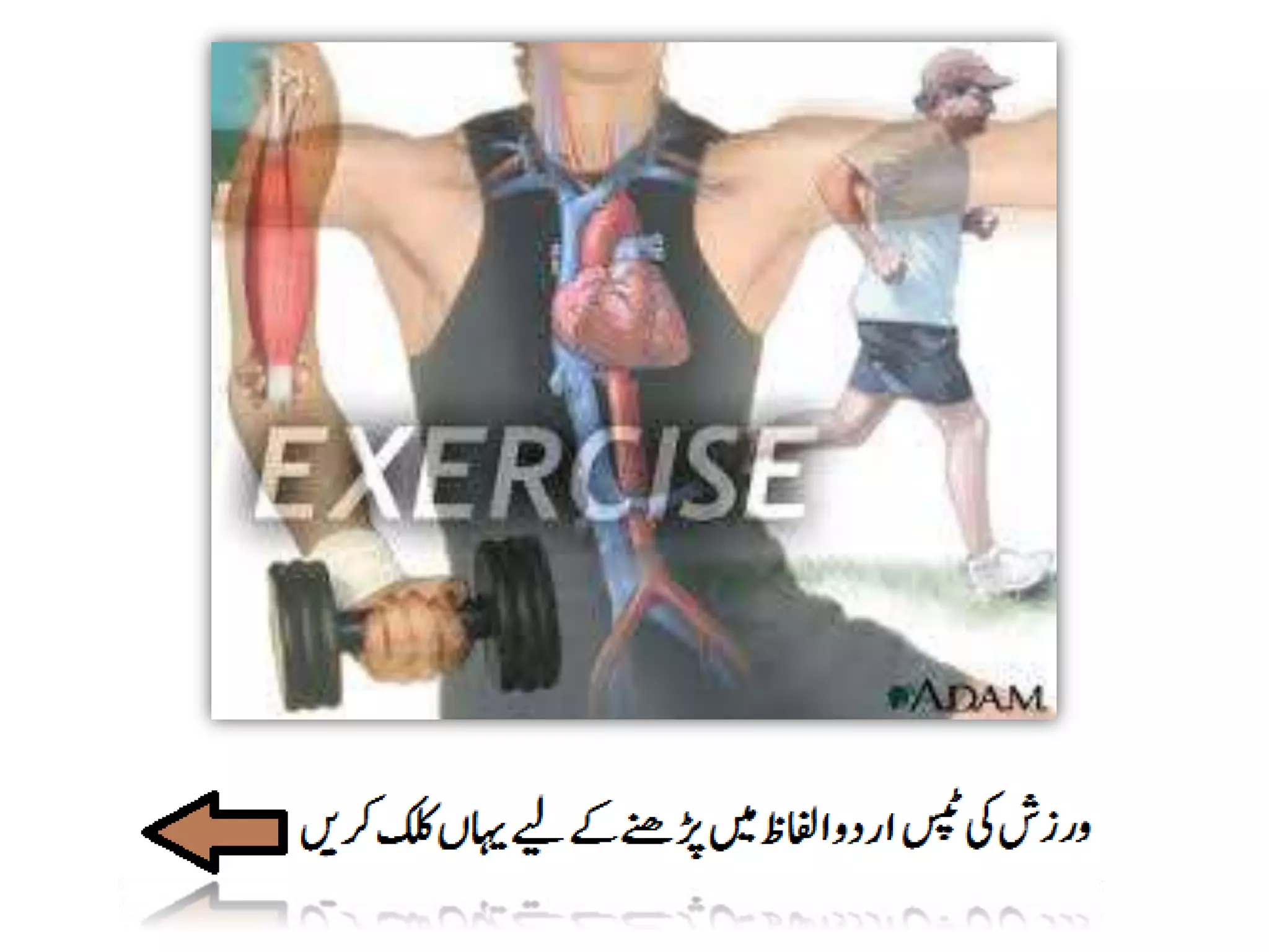 Exercise tips in urdu Warzish in urdu | PPTX