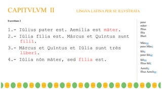 exercitia_capituli_II-1-2-3-4-5-6-7-8.pdf