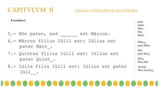 exercitia_capituli_II-1-2-3-4-5-6-7-8.pdf
