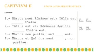 exercitia_capituli_II-1-2-3-4-5-6-7-8.pdf