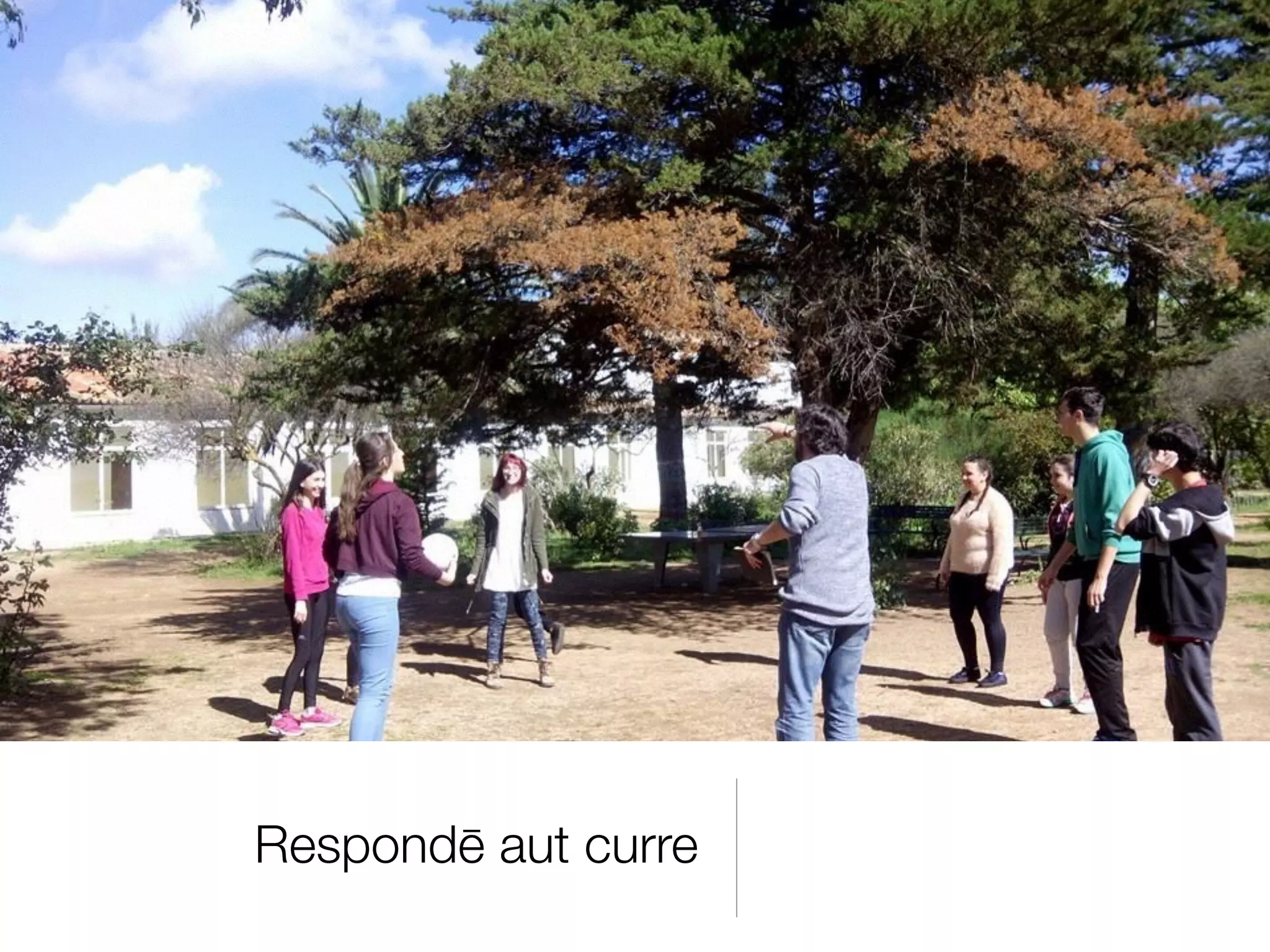 Exercitia methodi activae | PDF