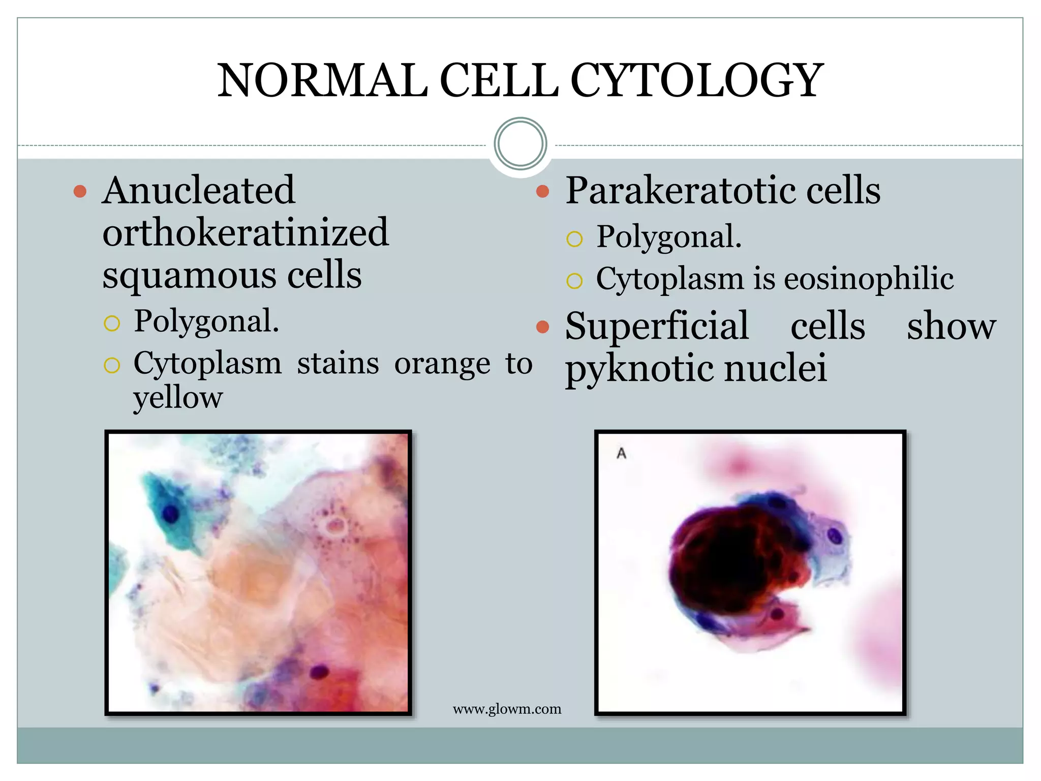 Exfoliative cytology | PPTX