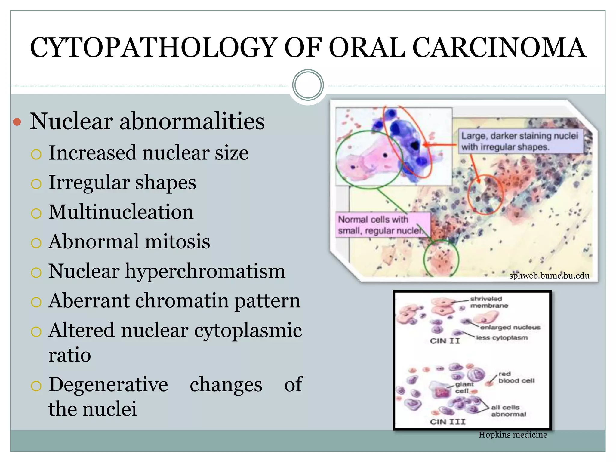 Exfoliative cytology | PPTX