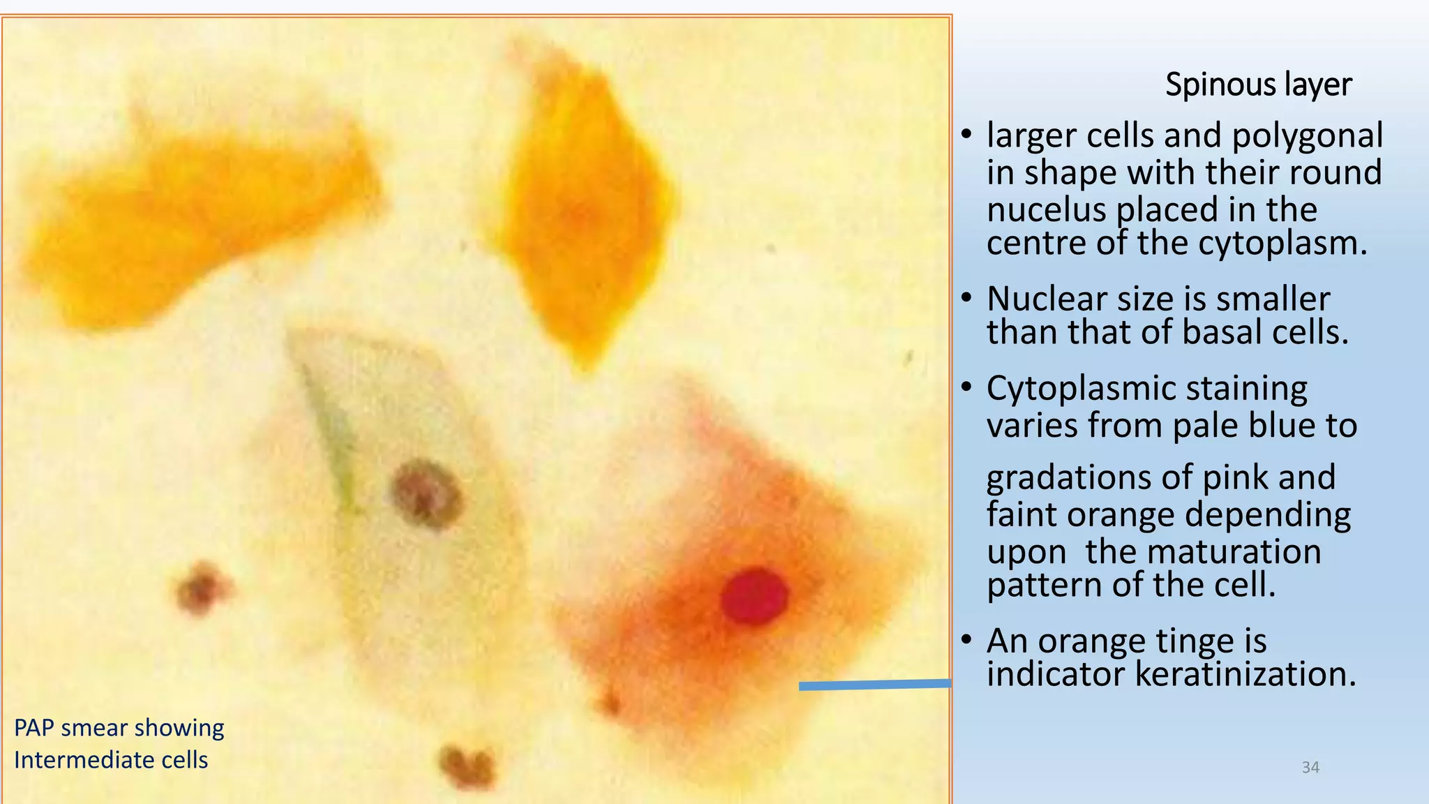 Exfoliative cytology | PPTX
