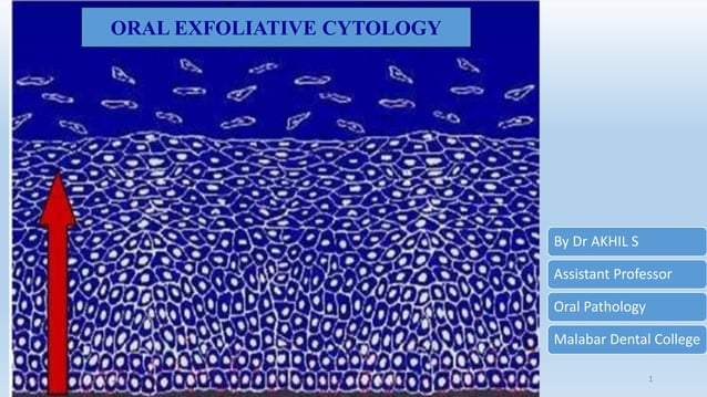 Exfoliative cytology | PPTX