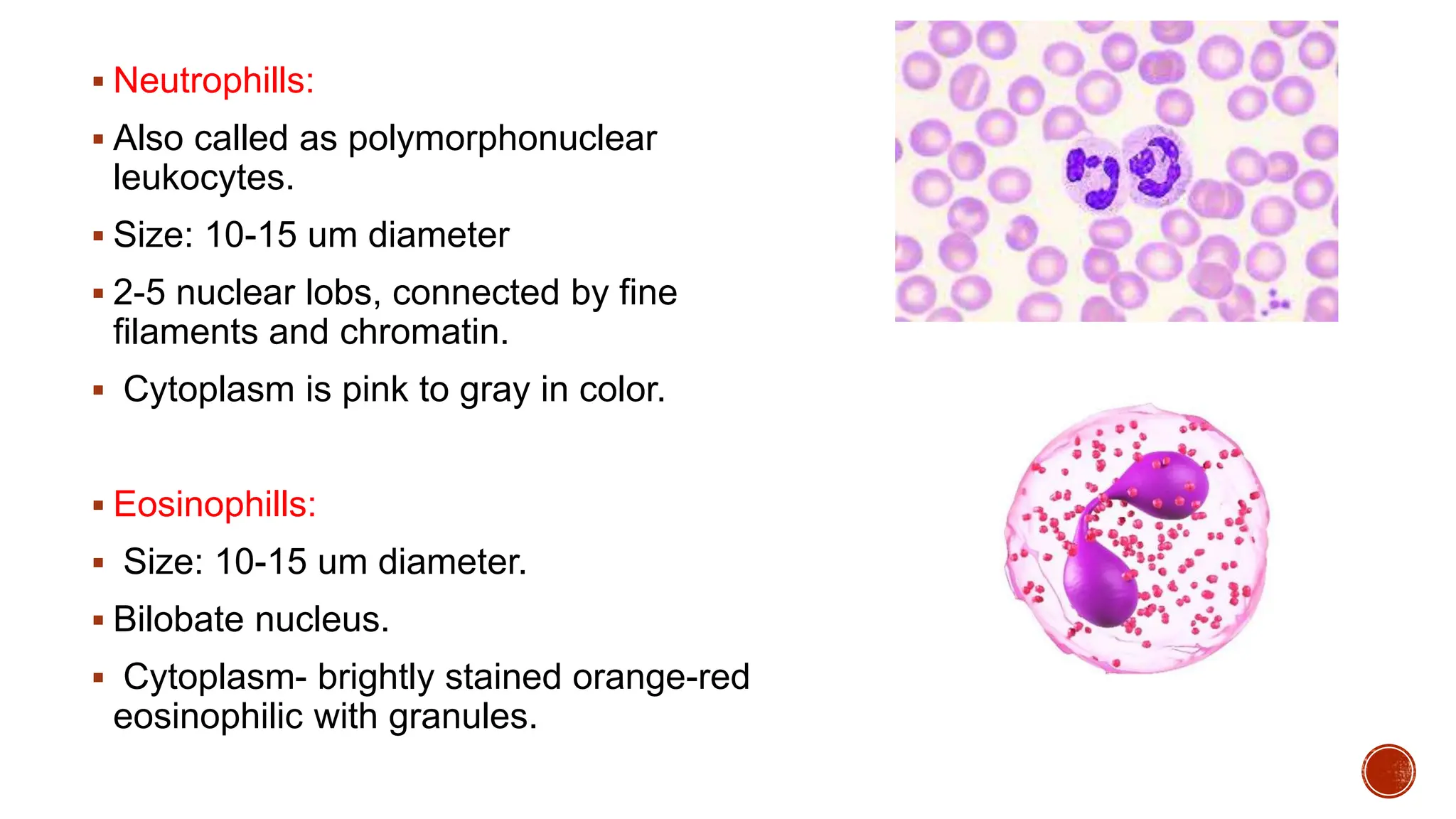 EXFOLIATIVE CYTOLOGY , ORAL CYTOSMEAR, ORAL CYTOLOGY | PPTX