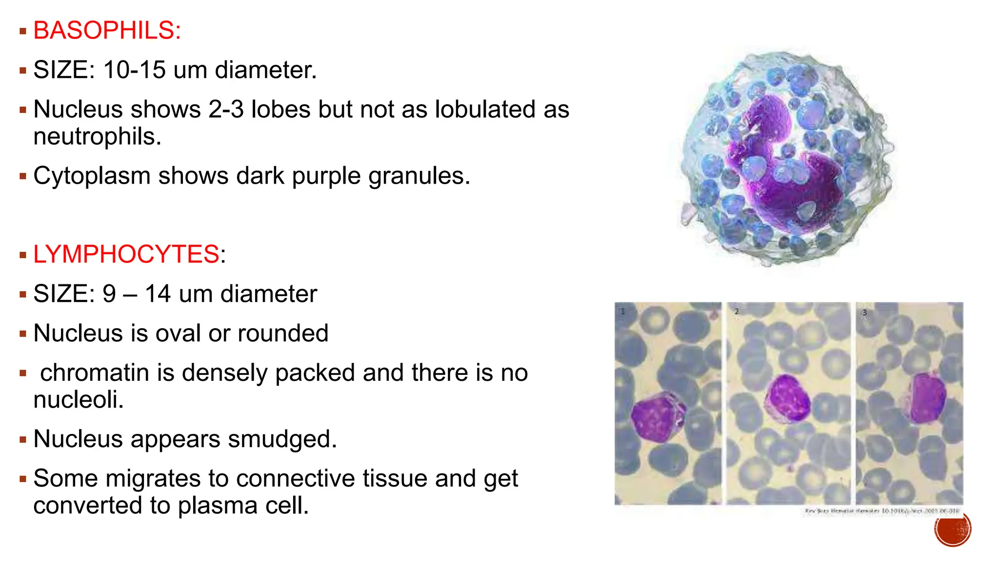 EXFOLIATIVE CYTOLOGY , ORAL CYTOSMEAR, ORAL CYTOLOGY | PPTX