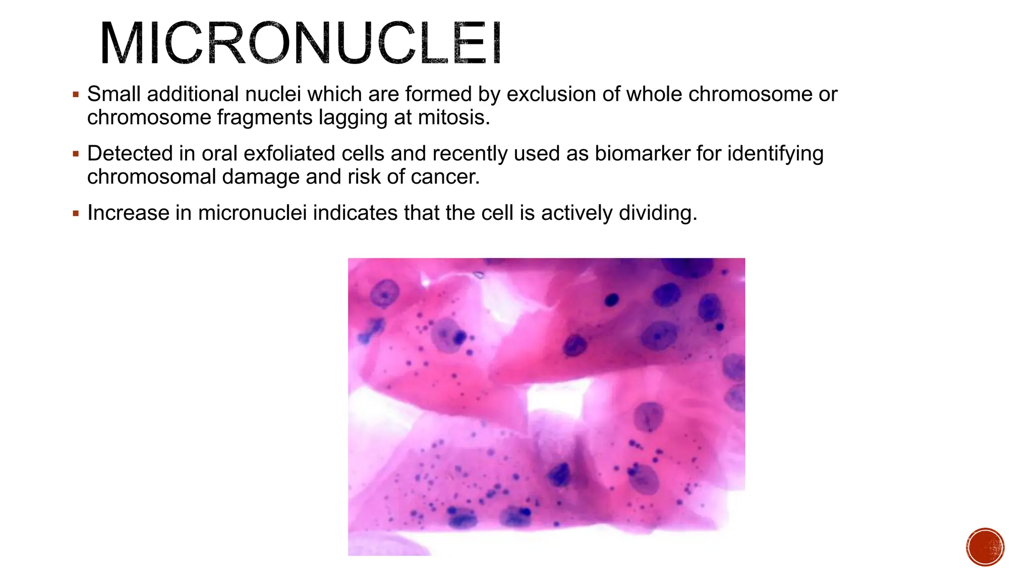 EXFOLIATIVE CYTOLOGY , ORAL CYTOSMEAR, ORAL CYTOLOGY | PPTX