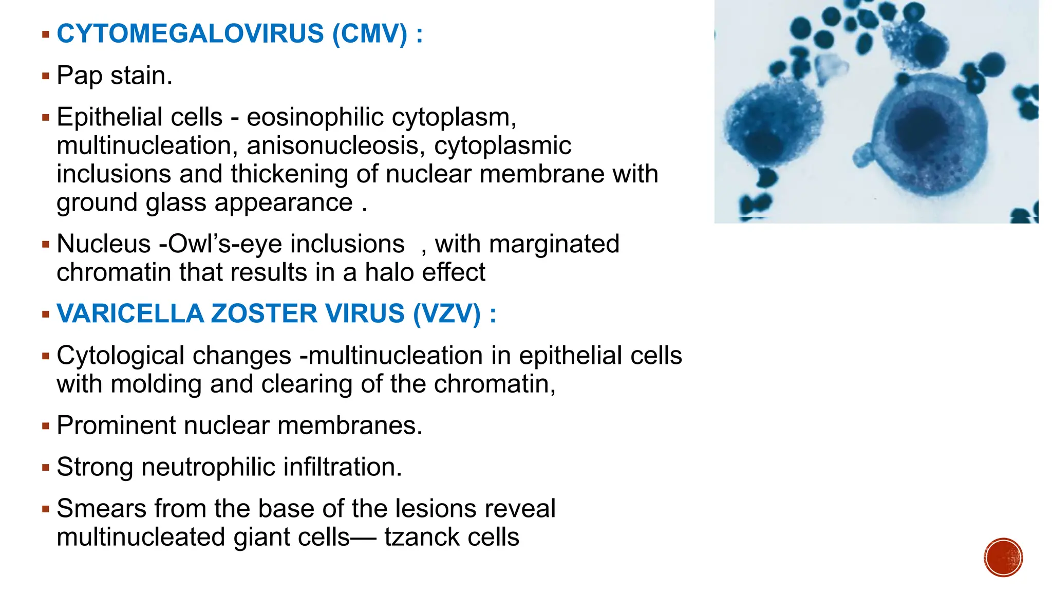 EXFOLIATIVE CYTOLOGY , ORAL CYTOSMEAR, ORAL CYTOLOGY | PPTX