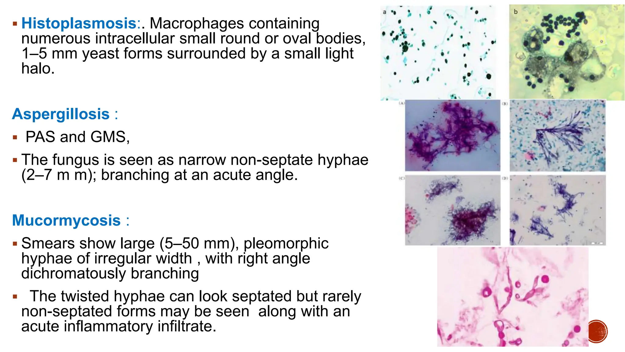 EXFOLIATIVE CYTOLOGY , ORAL CYTOSMEAR, ORAL CYTOLOGY | PPTX