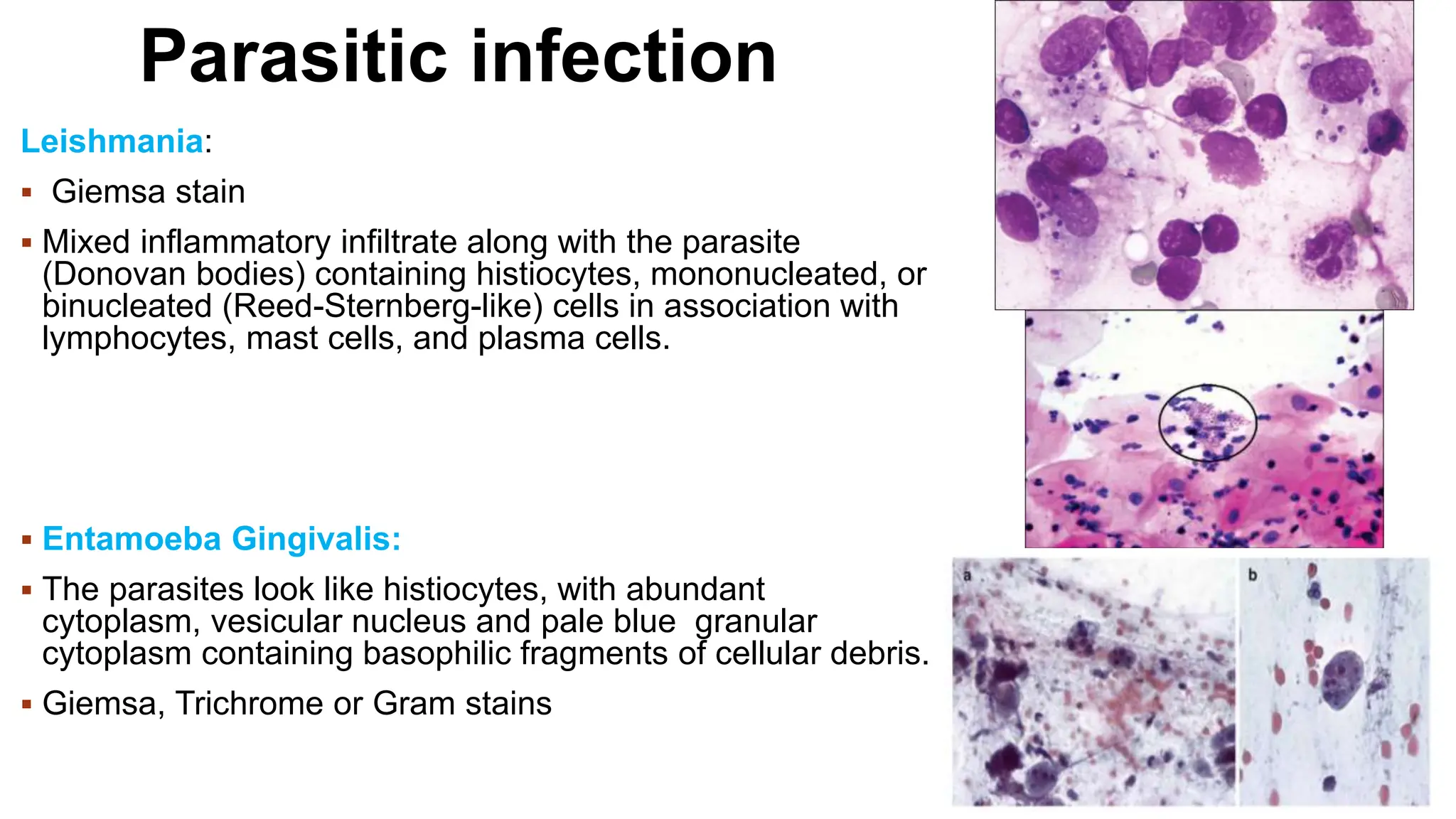 EXFOLIATIVE CYTOLOGY , ORAL CYTOSMEAR, ORAL CYTOLOGY | PPTX