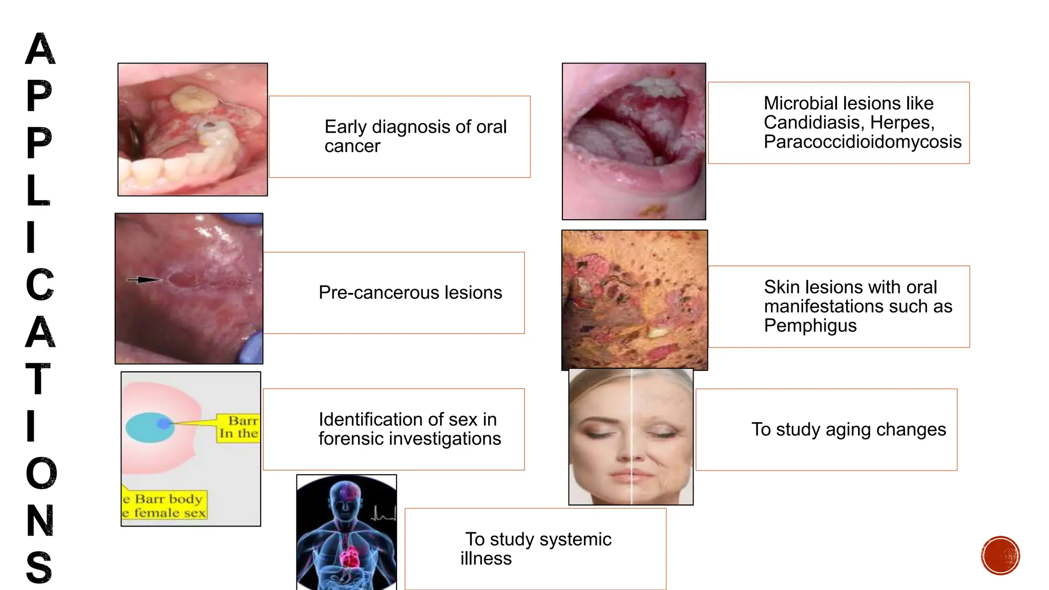 Exfoliative Cytology Oral Cytosmear Oral Cytology Pptx 3374