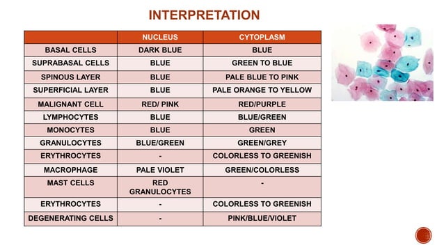 EXFOLIATIVE CYTOLOGY , ORAL CYTOSMEAR, ORAL CYTOLOGY | PPTX | Dental ...