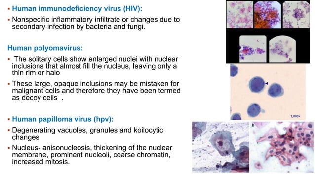 EXFOLIATIVE CYTOLOGY , ORAL CYTOSMEAR, ORAL CYTOLOGY | PPTX | Dental ...