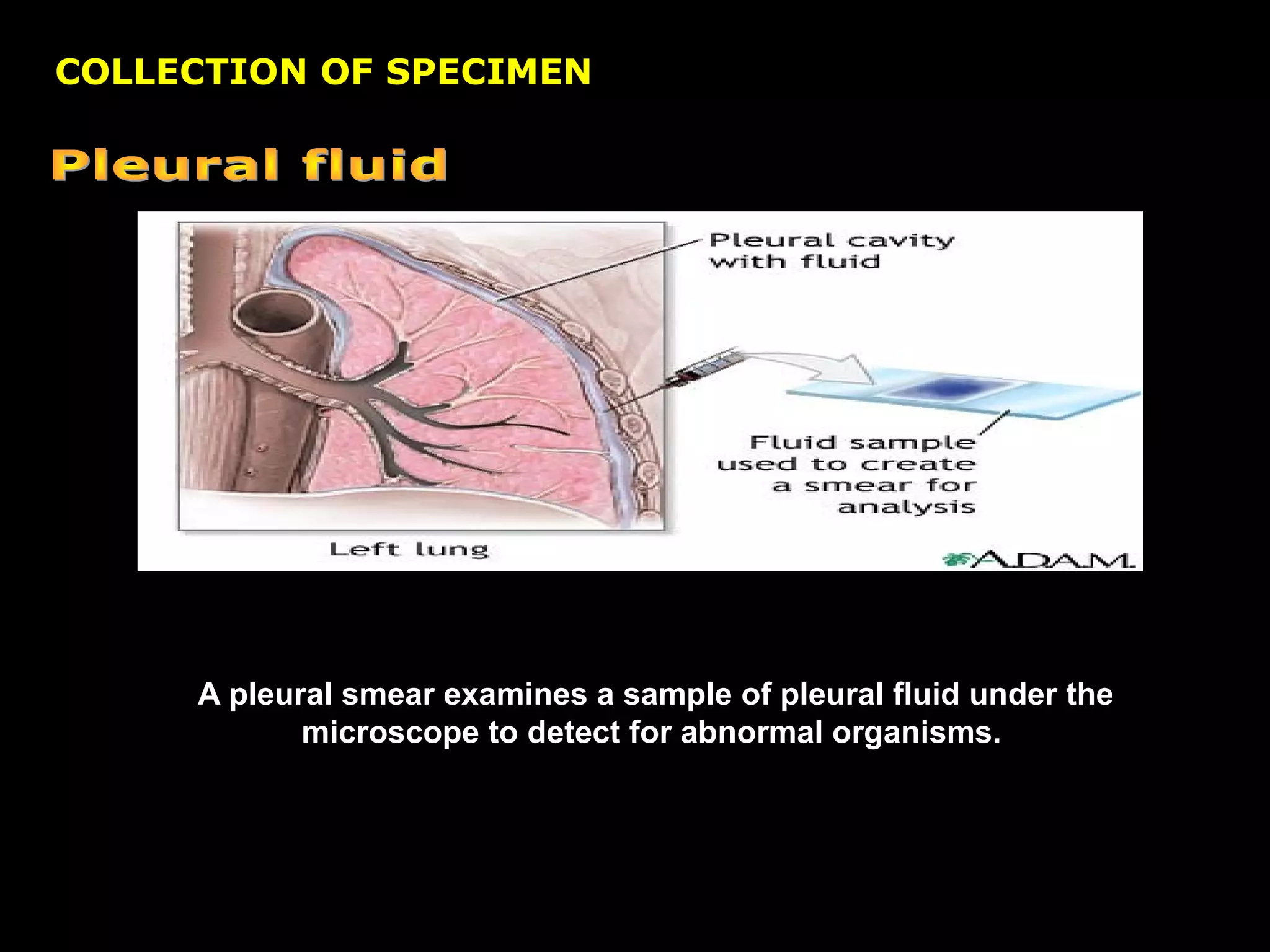 Exfoliative cytology | PPT