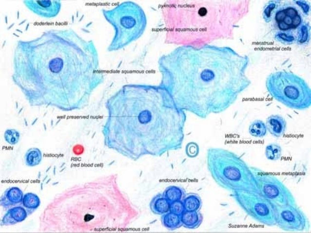 Exfoliative cytology