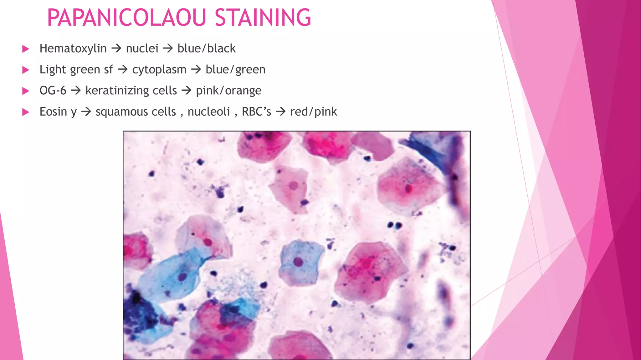 Exfoliative cytology for dental students | PPTX
