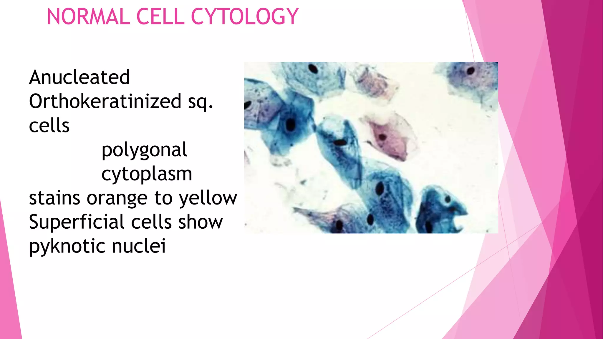 Exfoliative cytology for dental students | PPTX