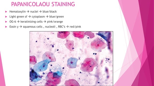 Exfoliative cytology for dental students | PPTX | Dental Health ...