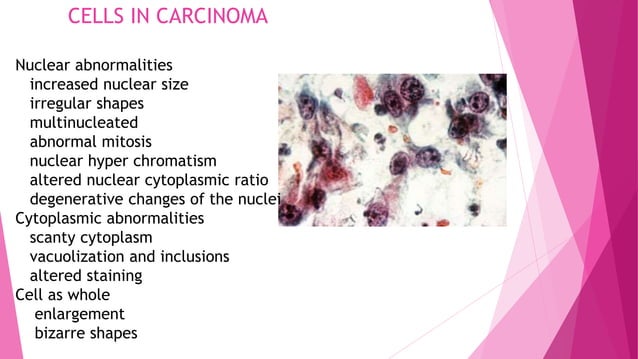 Exfoliative cytology for dental students | PPTX | Dental Health ...