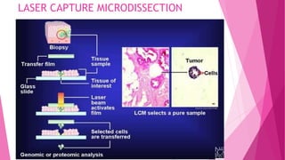 Exfoliative cytology for dental students | PPTX