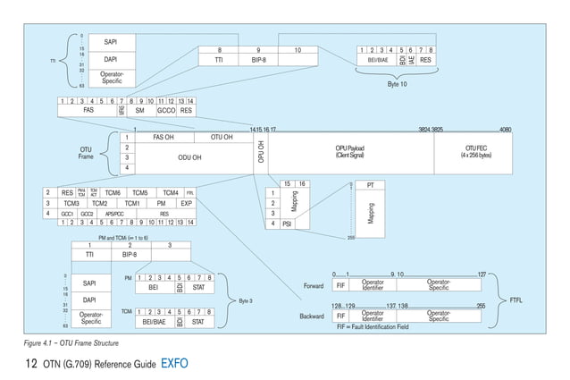 exfo_reference-guide_otn.pdf | Computer Networking | Computing