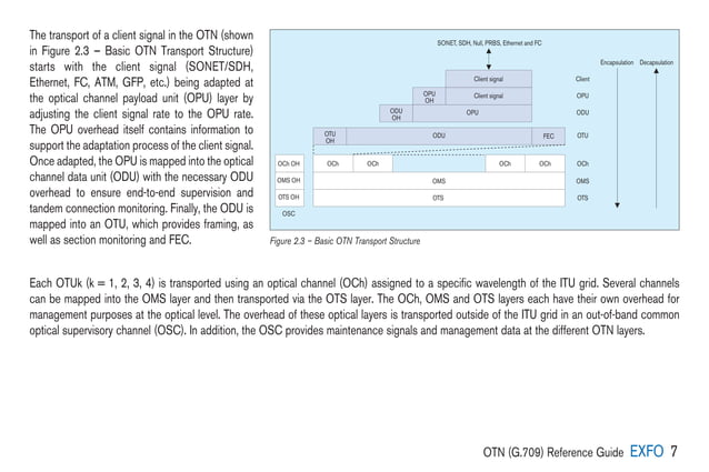 exfo_reference-guide_otn.pdf | Computer Networking | Computing