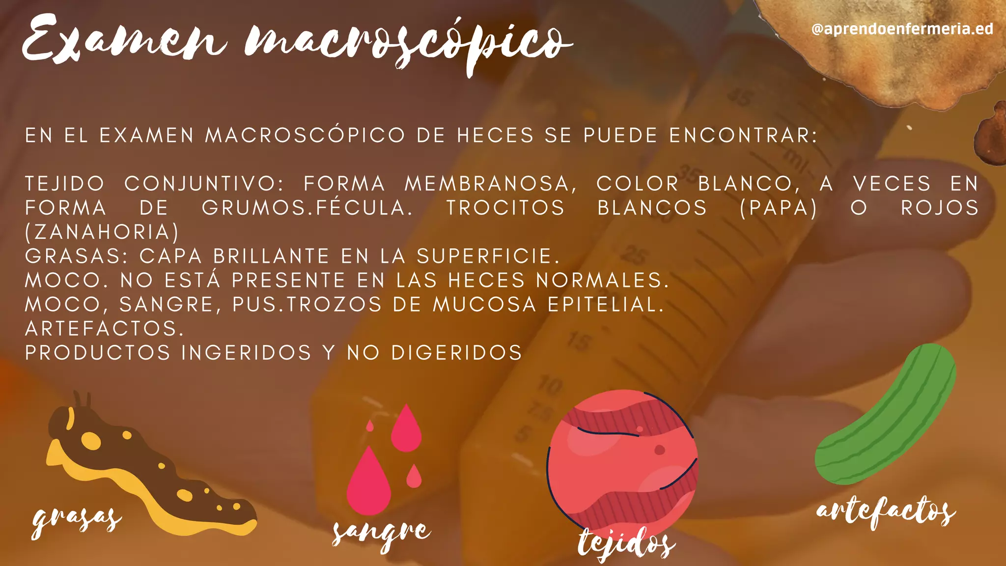 Muestra de laboratorio de heces- AED | PDF