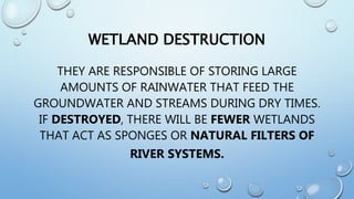 Exhibit 3 Earth Science: Effects of Human Activities to the Water ...