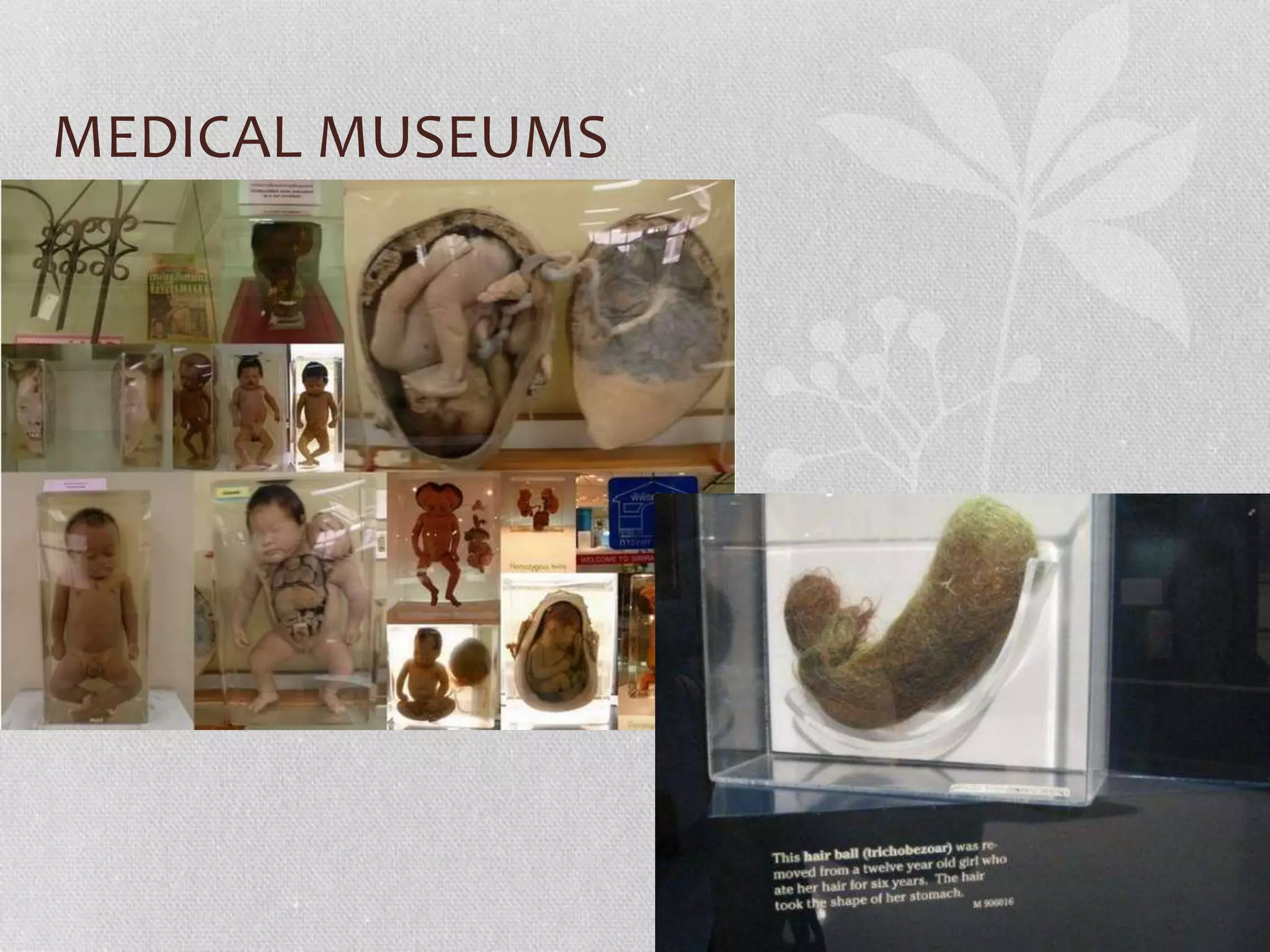 EXHIBITS AND MUSEUMS | PPTX