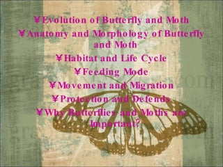 MOTH N BUTTERFLY | PPT