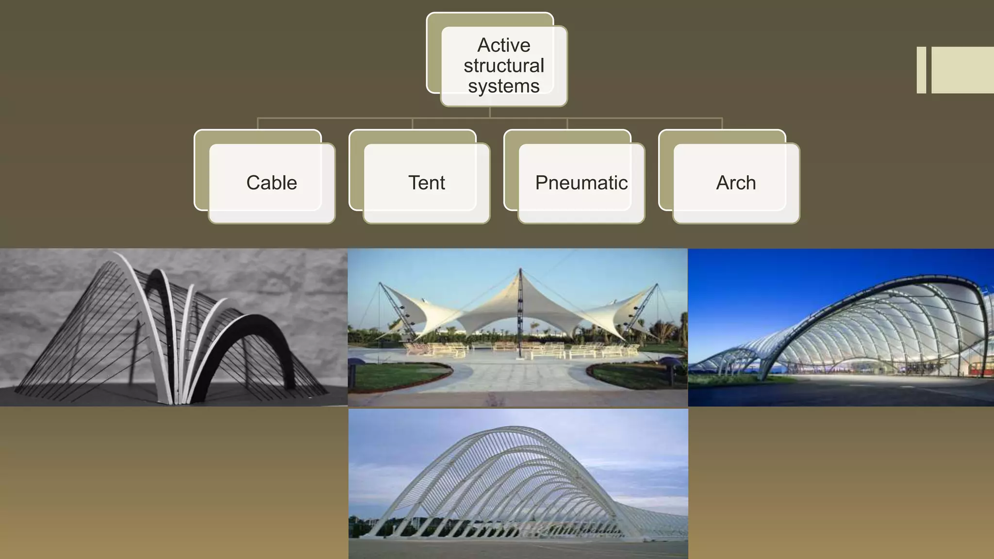 Exhibition case study | PPTX