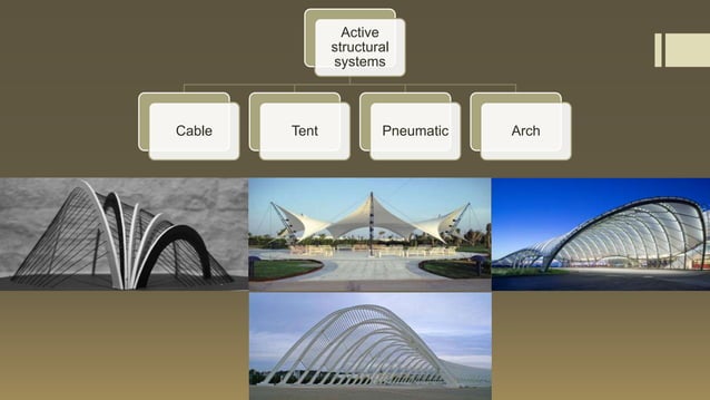 Exhibition case study | PPTX