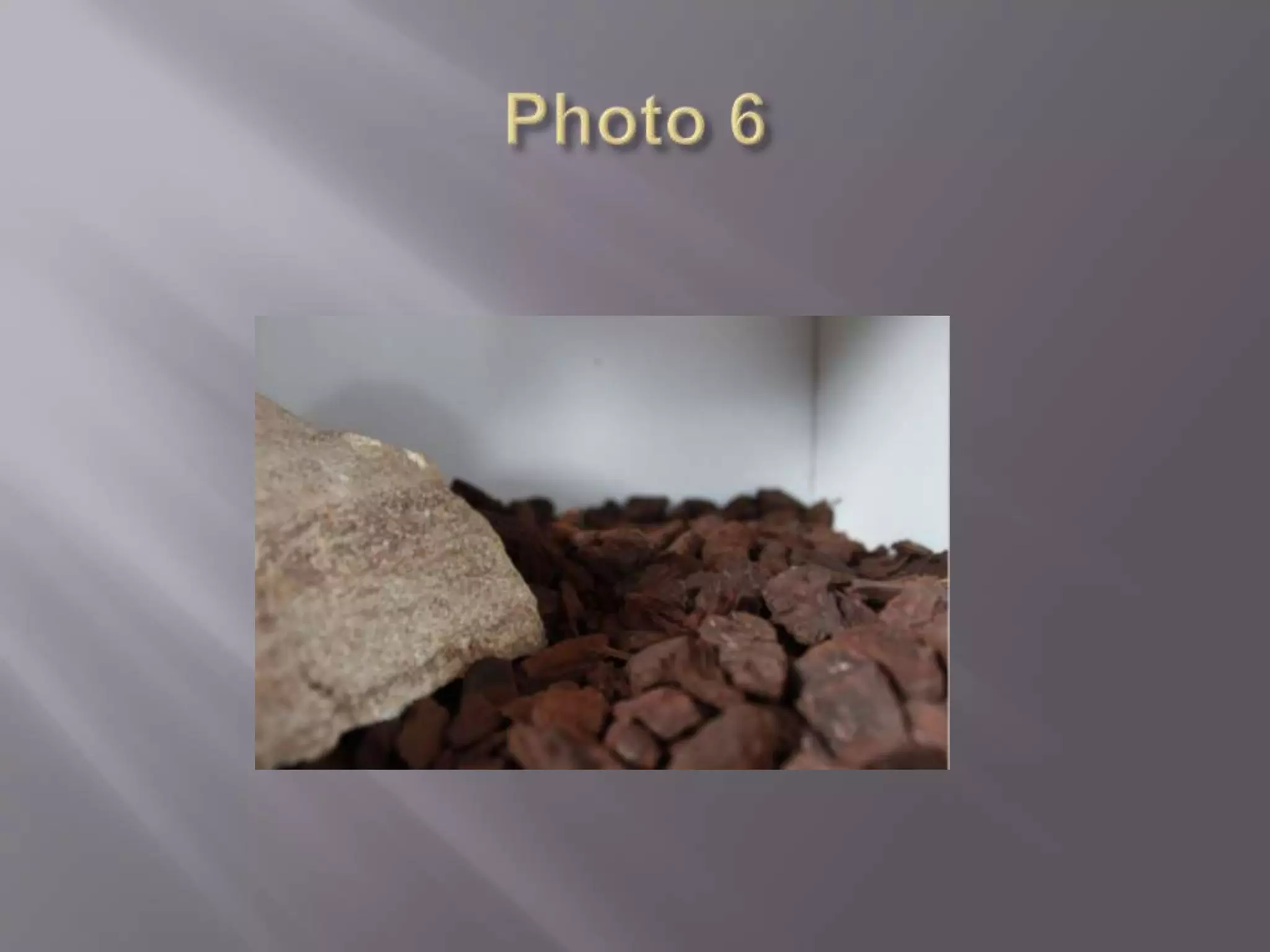 Exhibition layout and questionnaire | PPTX