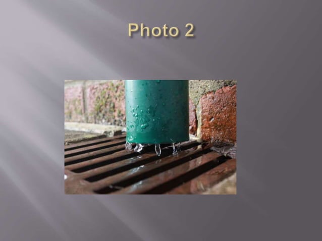 Exhibition layout and questionnaire | PPT