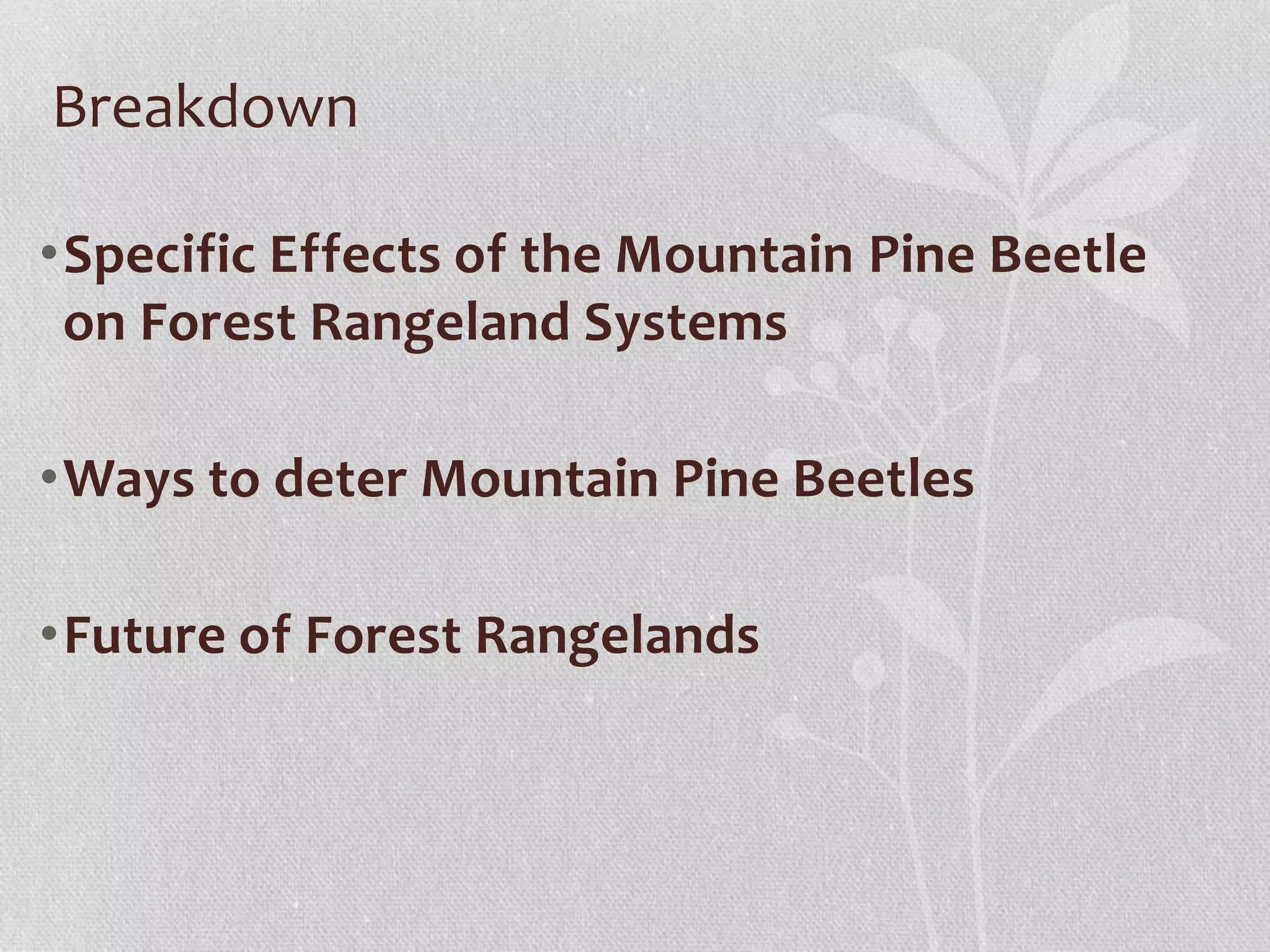 The Effects of the Mountain Pine Beetle on Forest Rangeland Systems | PPTX