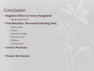 The Effects of the Mountain Pine Beetle on Forest Rangeland Systems | PPTX