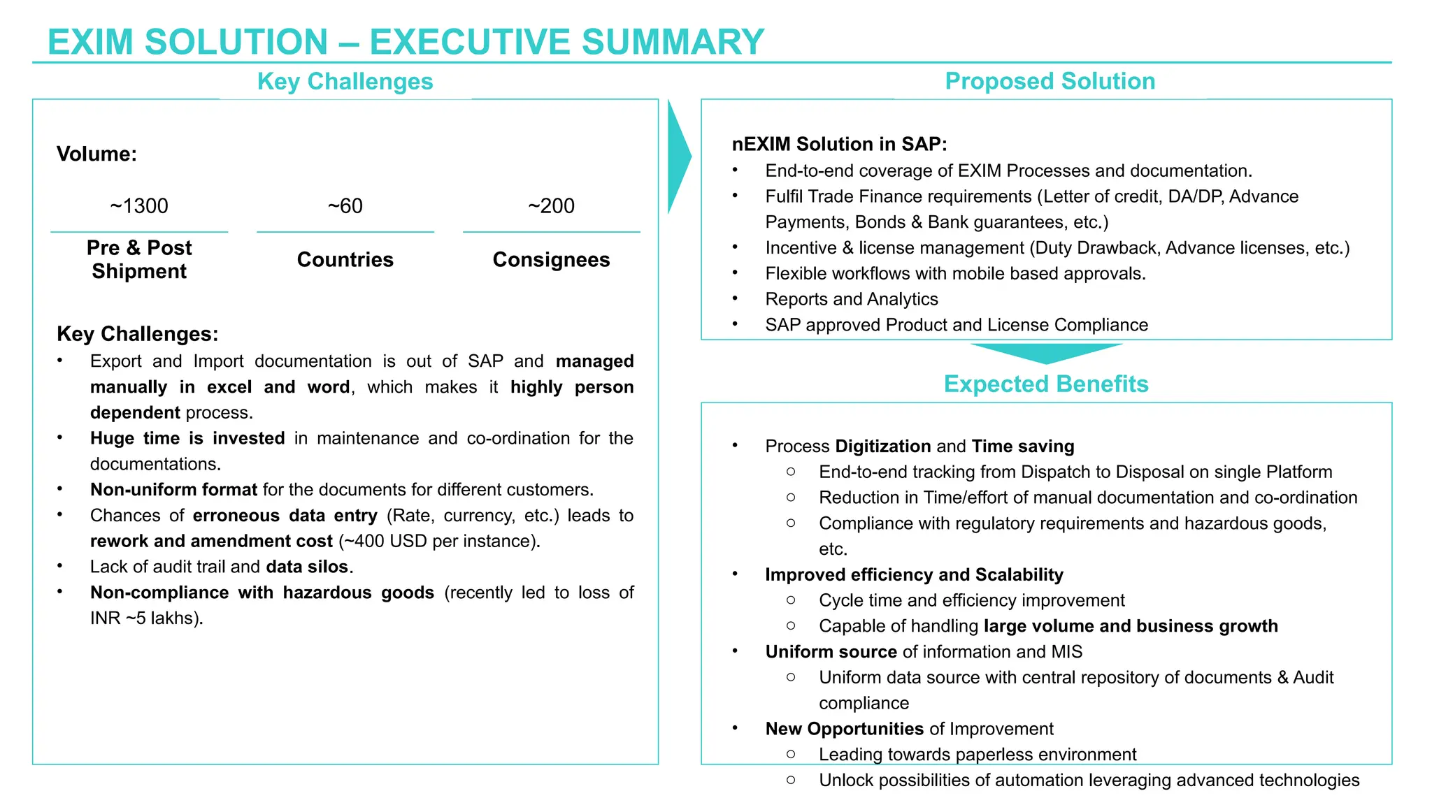 EXIM Solution Executive Summary Document | PPT
